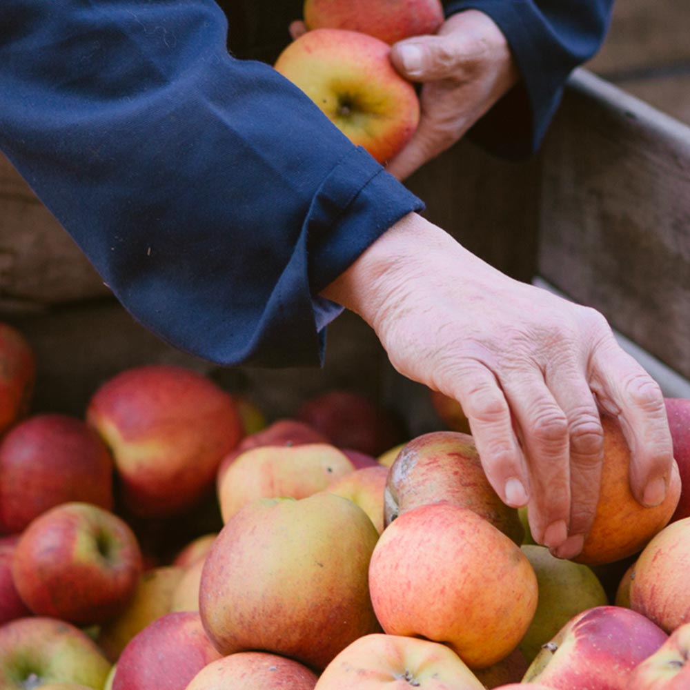 MARCHÉ PARI FERMIER RUE SAINT-CHARLES
